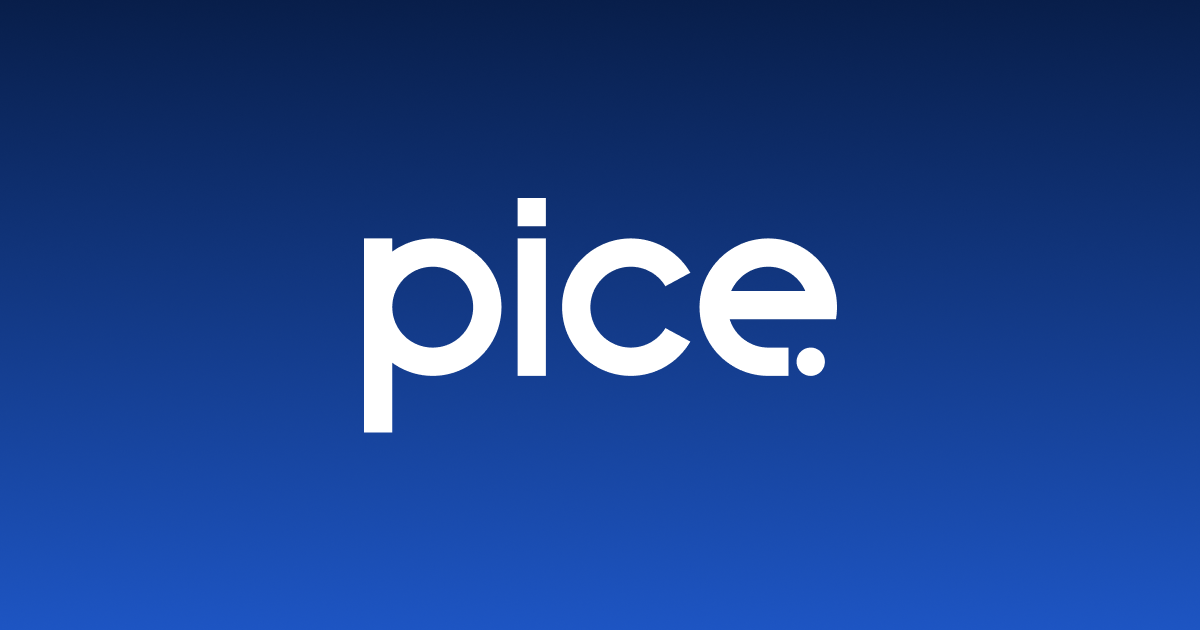 Pice - One App for All Business Payments